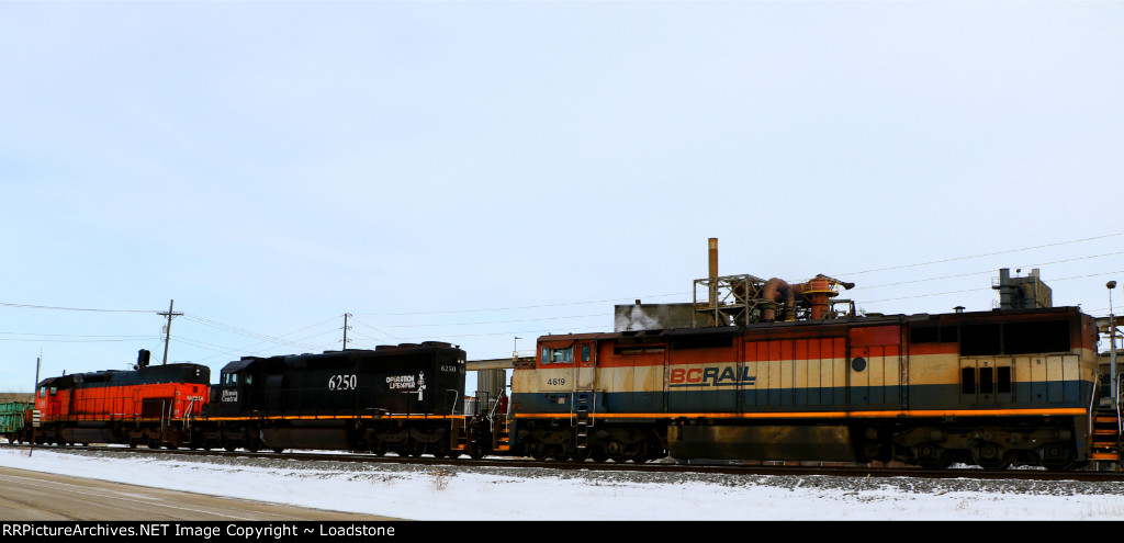 BCOL 4619 IC 6250 BLE 609